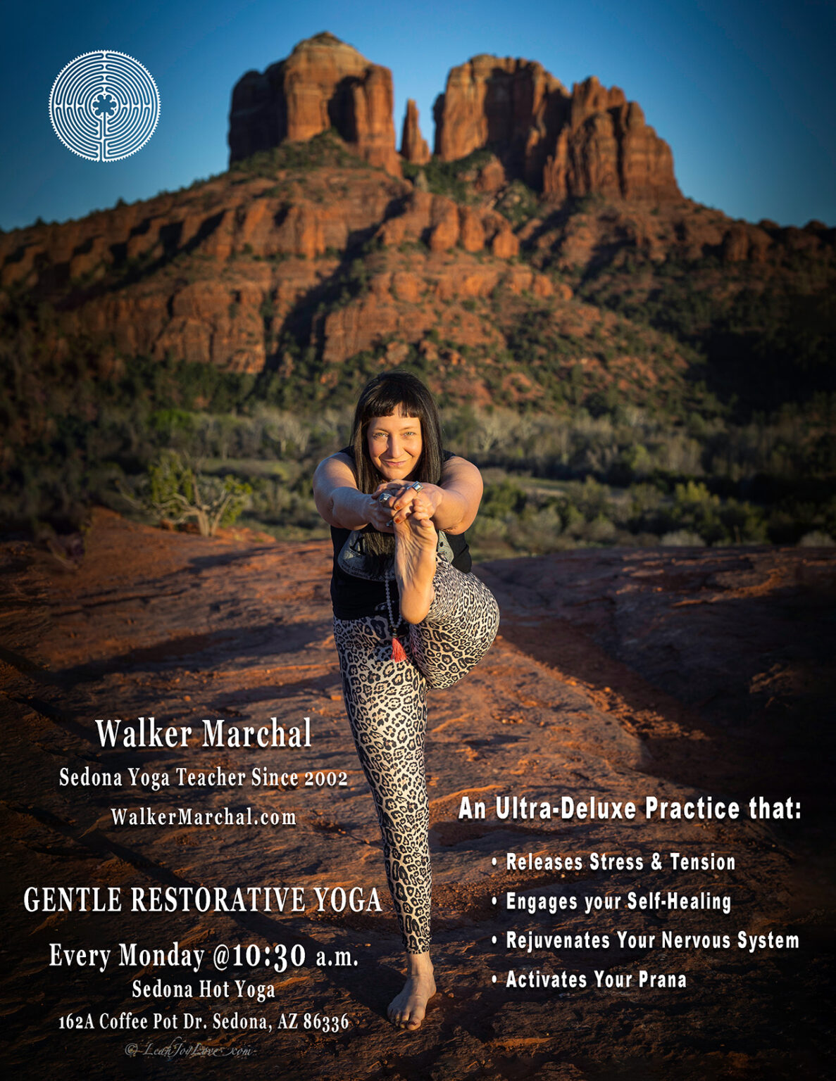 Healing Sessions|Yoga Classes |Retreats – Walker Marchal's